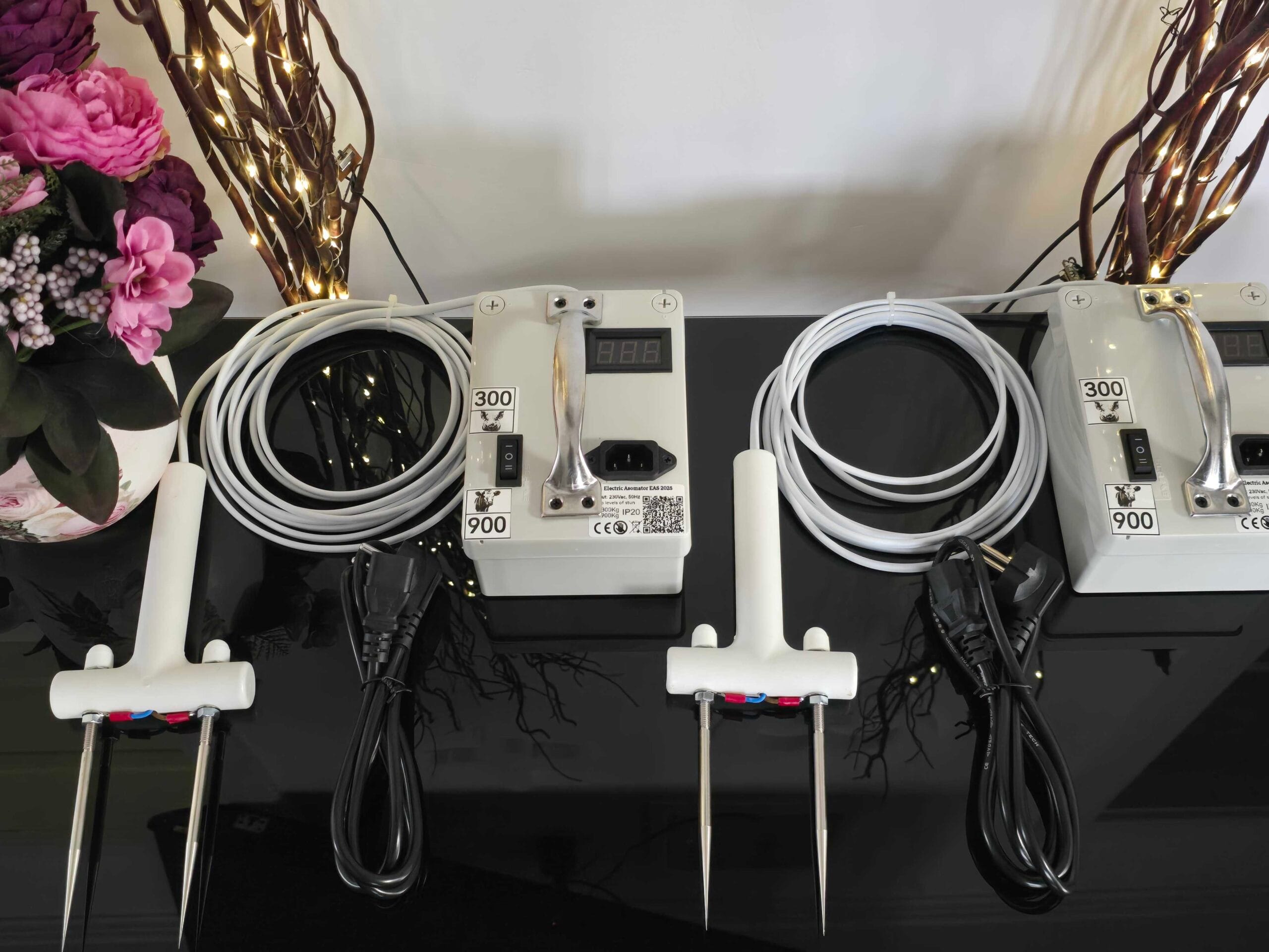 Asomator electric EAS 2025